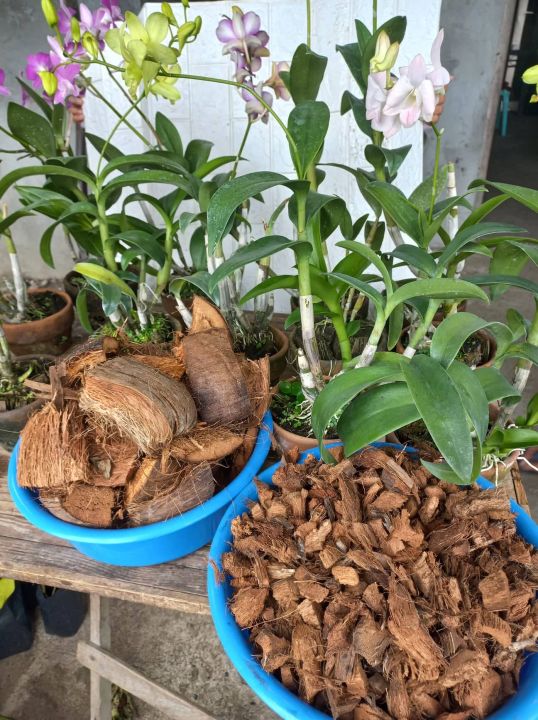 COCO CUBES COCO HUSK COCO PEAT or BUNOT AVAILABLE IN 1 KILO USE FOR ...