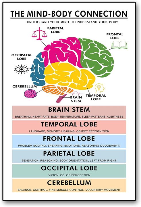 Mental Health Poster Mind Body Connection Poster Brain Anatomy Office ...