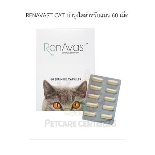 RENAVAST CAT บำรุงไตสำหรับแมว 60 เม็ด exp.08/24 | Lazada.co.th