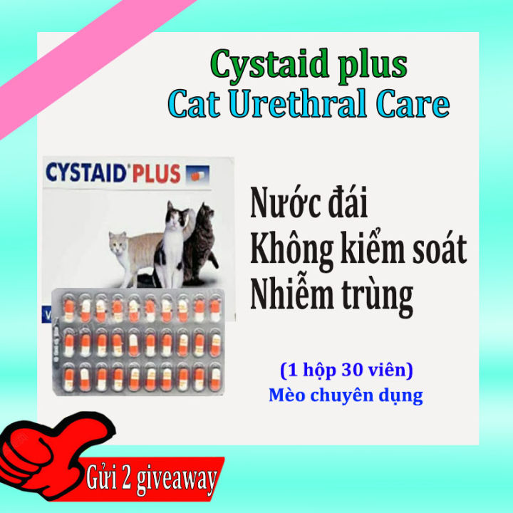 Cystaid Plus Chất bổ sung đường tiểu mèo, chăm sóc tiểu đường và niệu ...