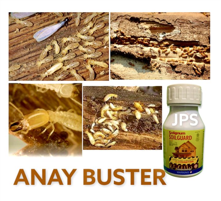 SOILGUARD BY SOLIGNUM ANTI-TERMITE (ANAY) 250ml | Lazada PH