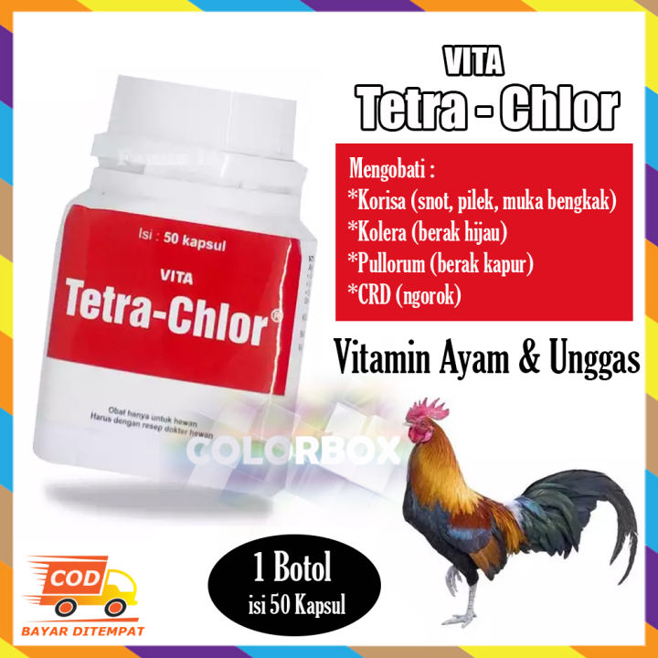 VITA TETRA CHLOR ISI 50 KAPSUL Antibitotik Multivitamin Mineral Unggas ...