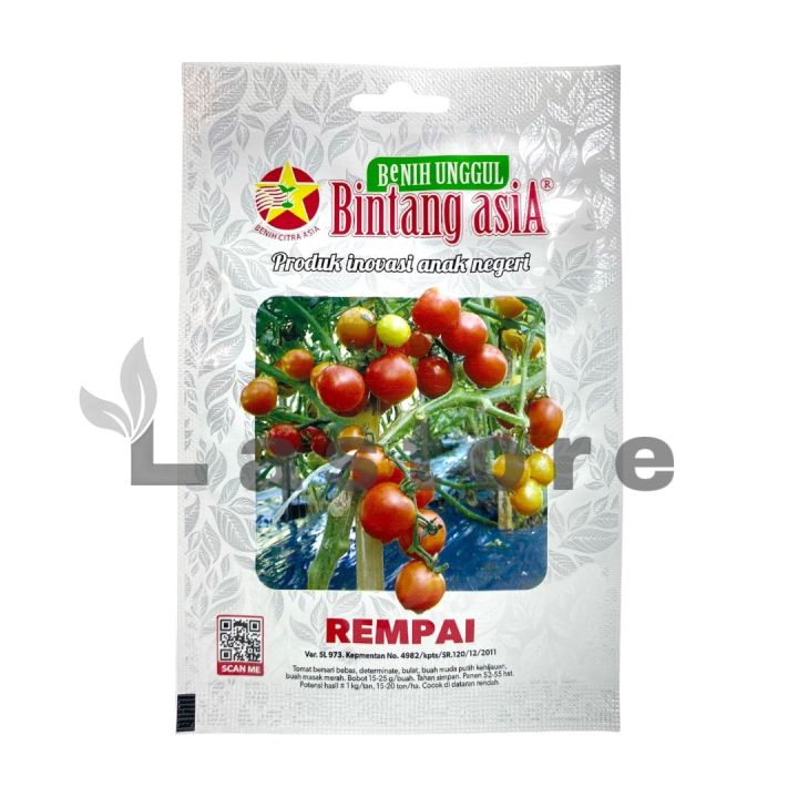 Benih Tomat REMPAI Isi 1 gram Benih Bintang Asia | Lazada Indonesia