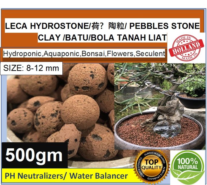 [REPACK 0.5KG](8-12mm)LECA HYDROSTONE/荷兰陶粒/ PEBBLES STONE CLAY /BATU ...
