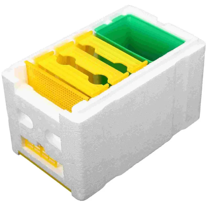 Nuôi Ong Hộp nhựa Bee hộp nuôi ong hồ cạn tổ ong hộp tổ ong Kit | Lazada.vn