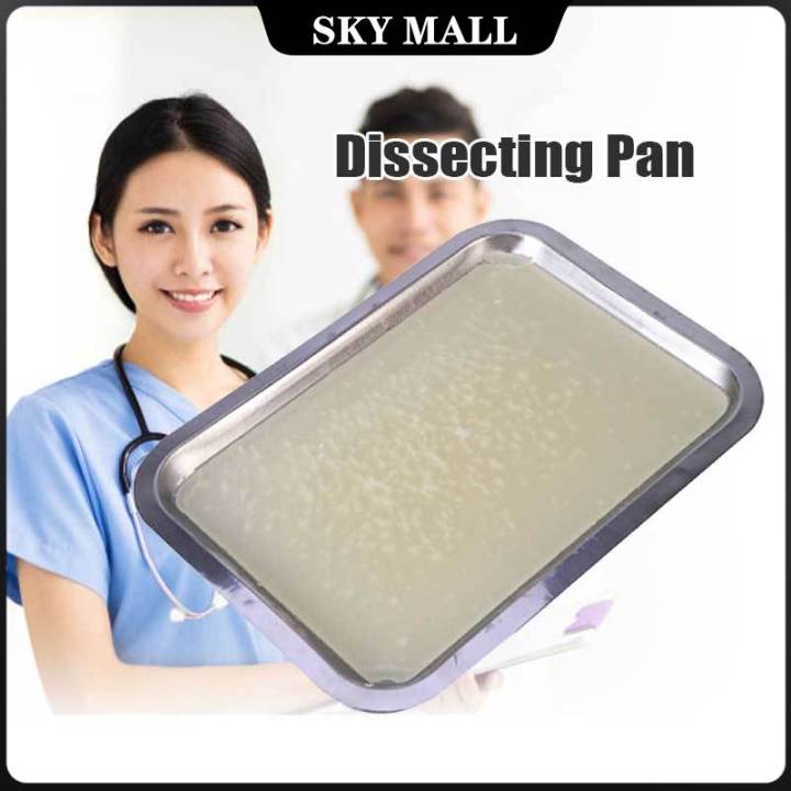 Dissecting pan for laboratory (wax 1/2 kilo) - 19*26cm | Lazada PH