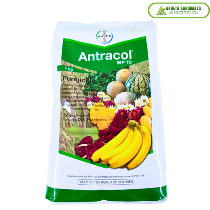 ARNETH ANTRACOL WP70 FUNGICIDE 1KG | Lazada PH