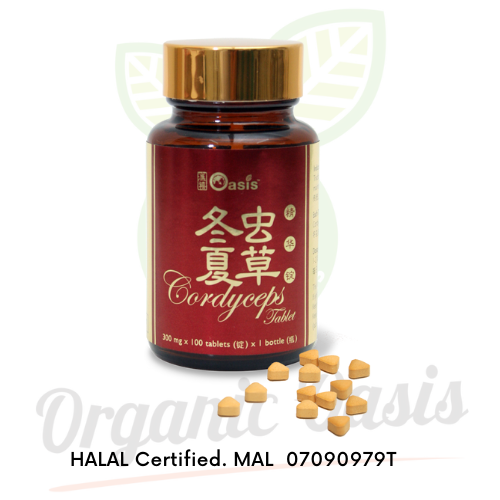 Oasis Cordyceps 100 Tablets 300mg (EXP 06/2028) | Adaptogenic, Improves ...