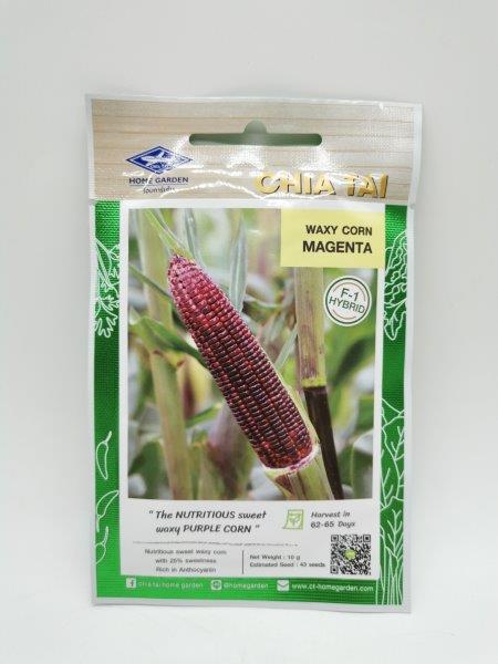 RED PURPLE CORN WAXY CORN MAGENTA BY CHIA TAI | Lazada PH