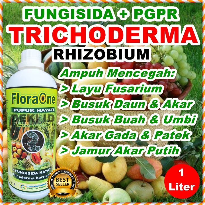 Tricoderma Cair Fungsida Plus PGPR Rhizobium Floraone 1 Liter Trichoderma Pestisida Hayati Pupuk ...