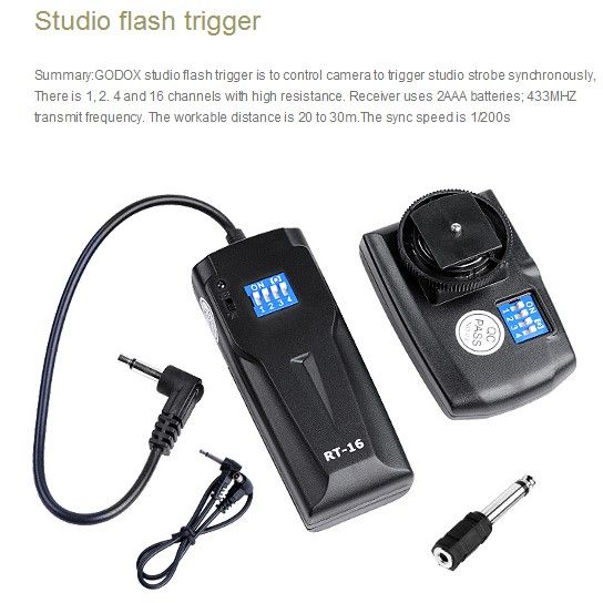 Godox RT-16 16-Channel Wireless Studio Strobe Flash Trigger Remote for ...