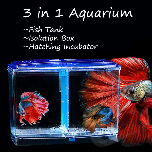 Acrylic Fish Tank for Betta Guppy Baby Fish Isolation Box with Divider ...