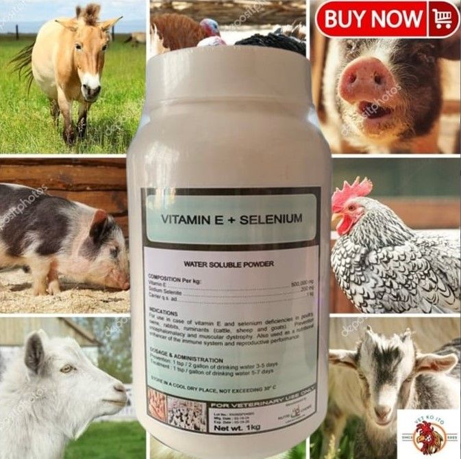 Vitamin E + Selenium/ Water Soluble Powder/ 1kg | Lazada PH