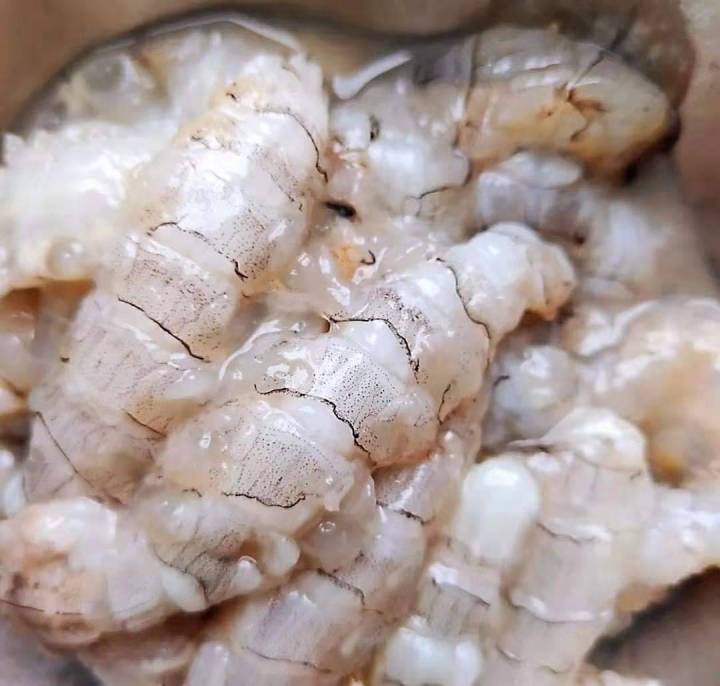 【Fresh Arrival】Prawn Mantis Meat / isi udang lipan / 虾姑肉 (500g +- Per ...