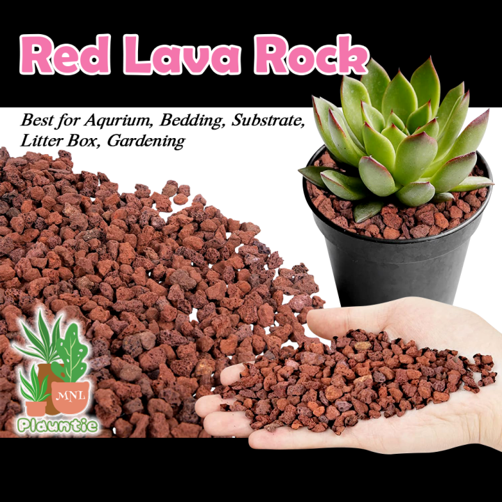 Red Lava Rocks best for Aquascaping, substrate, and landscaping 3-6mm 6 ...