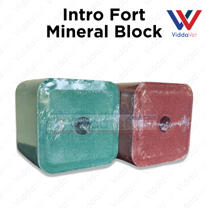 Intro Fort Block Mineral Block 5kgs Holland for Cattle Sheep Goat ...