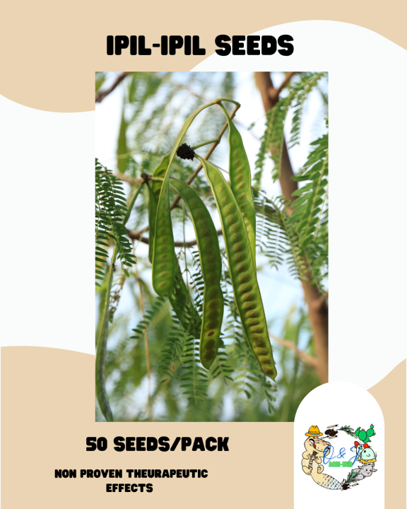 Ipil-ipil seeds (50pcs/pack) | Lazada PH