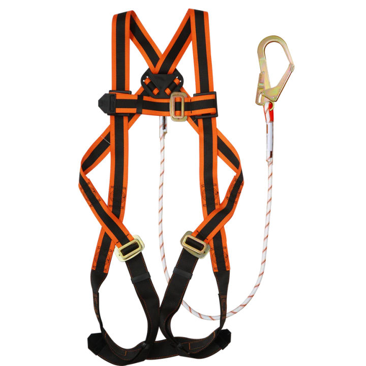 Proguard Full Body Harness 108 Lite with single Kernmantle Lanyard Set ...