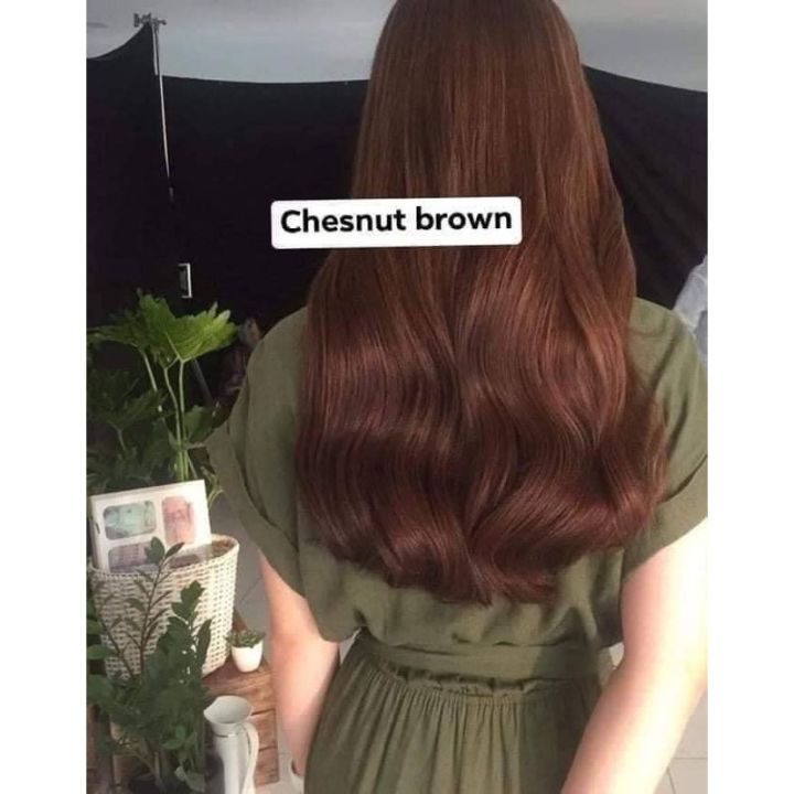 Quezon Hair Comet Chestnut Brown Merry Sun Permanent Hair Color | Lazada PH