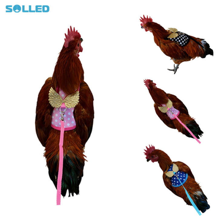 Poultry Chicken Traction Rope Training With Pet Traction Rope, Chicken ...