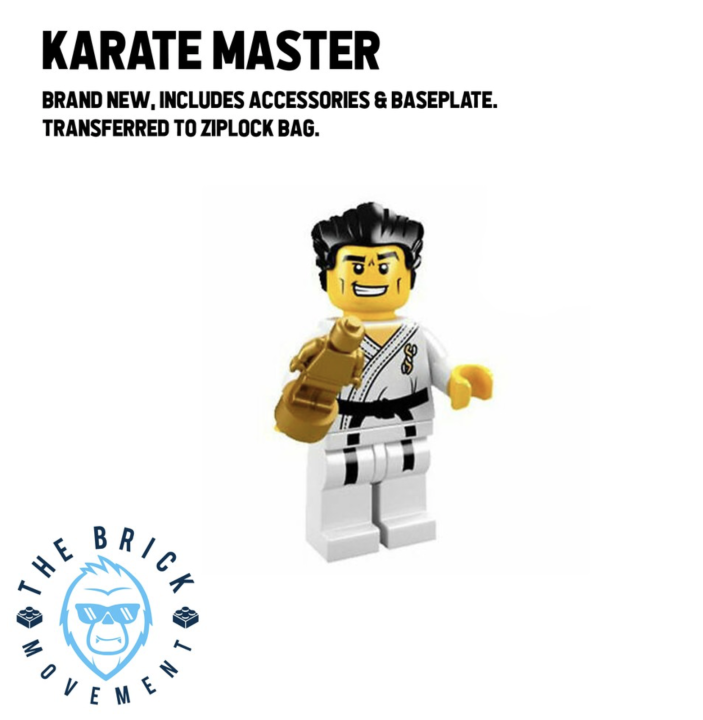 LEGO® Collectible Minifigure Series 2: Karate Master Minifigure | Lazada PH