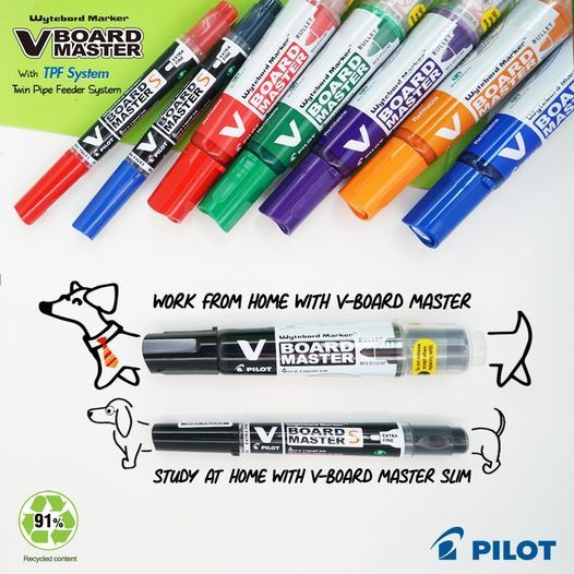 Pilot V Board Master Marker (Extra Fine & Medium) | Lazada PH