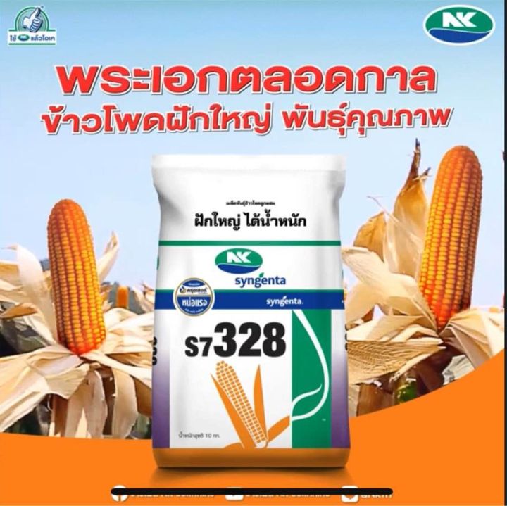 เมล็ดพันธุ์ข้าวโพด เอ็นเค 7328 3.5 หุน 10 กก. ข้าวโพดฝักใหญ่ พันธุ์ ...