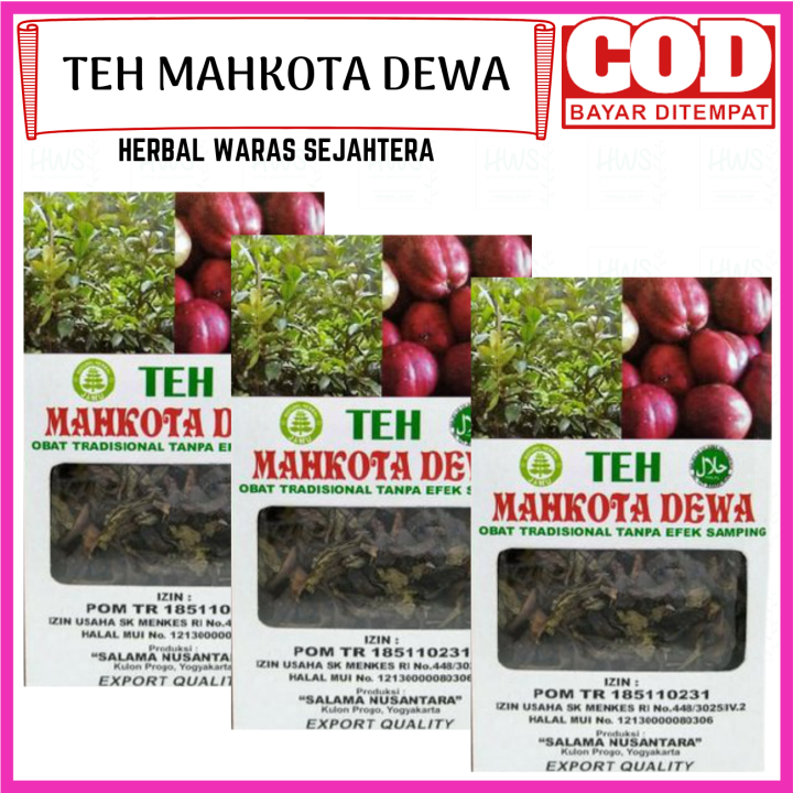 paket 3 box Teh Mahkota Dewa - Teh Hijau | Lazada Indonesia