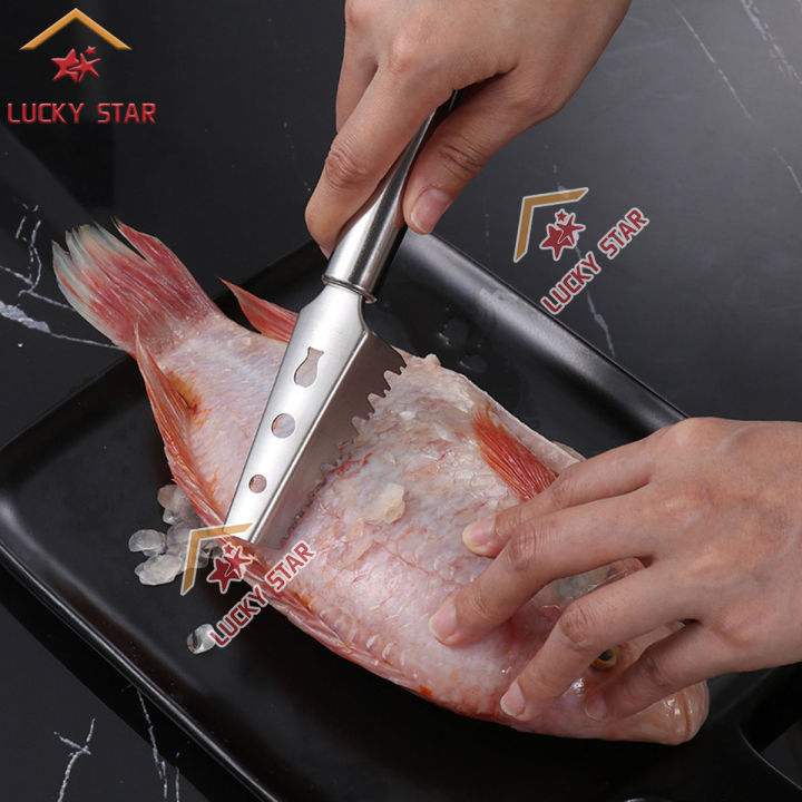 High Quality Stainless Steel Fish Scale Planer Multifunctional Scale ...