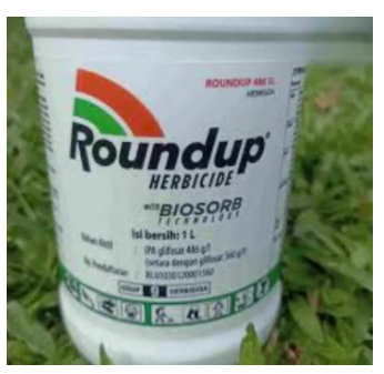Roundup Rumput 1 liter Herbisida Pembasmi Rumput Liar 1 liter | Lazada ...