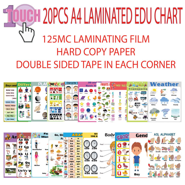 1TOUCH 20 PCS / SET A4 LAMINATED EDUCATIONAL WALL CHARTS | Lazada PH