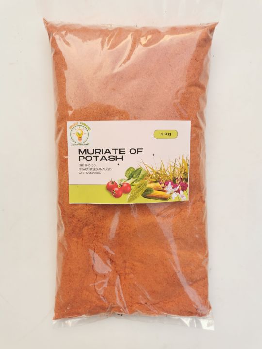 Potash Fertilizer 0-0-60 ( 1 kilo ) with Free Gift 30 grams Fungicide ...