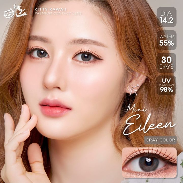 🔥คอนแทคเลนส์🔥 ขนาดมินิ Brown/Gray ขนาด Mini รุ่น Eileen (kittykawaii) | Lazada.co.th