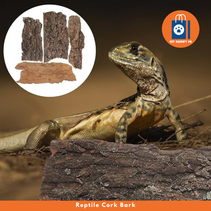 Reptile Cork Bark Natural Cork Bark Tarantula Hideout log 15 cm x 20 cm ...