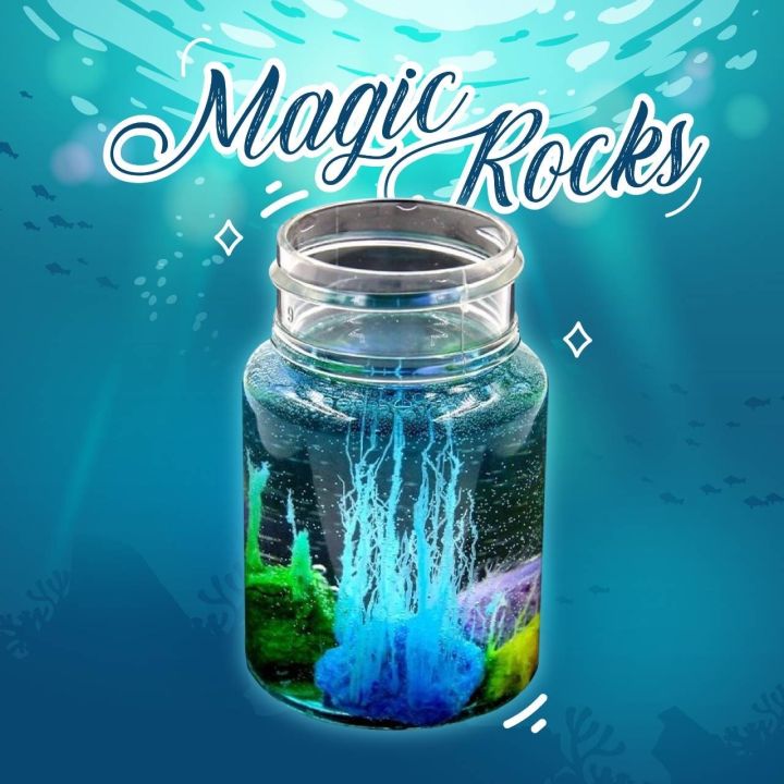 การทดลองชุด Magic Rocks | Lazada.co.th
