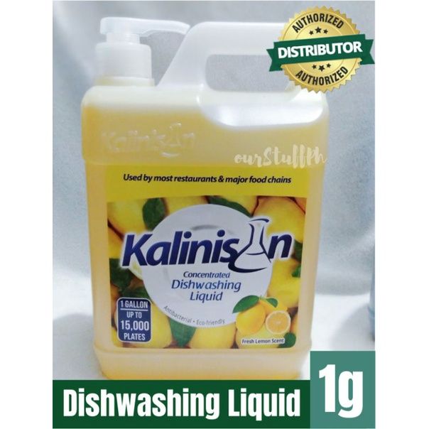 Kalinisan Dishwashing Liquid 1g | Lazada PH