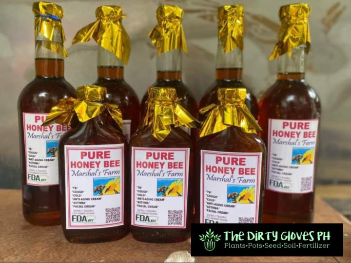 CULTURED PURE HONEY (250 ML) by Marshal's Farm | Lazada PH