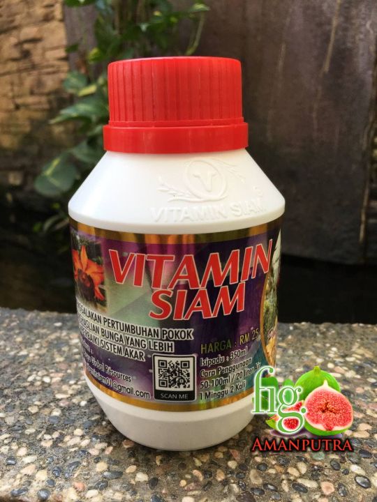 Vitamin Siam Baja Semburan Formulasi Dari Siam | Lazada