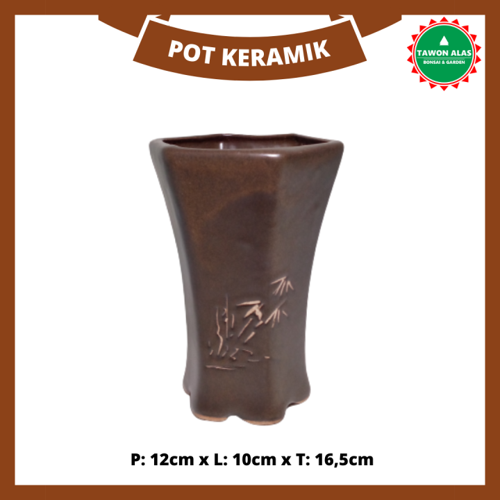 Pot Bonsai Keramik Segi Enam Tinggi Unik | Lazada Indonesia