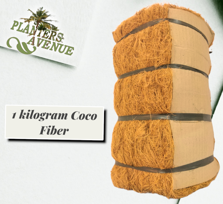 1 KILO PREMIUM QUALITY COCO FIBER CLEAN FIBER FOR THESIS AND FOR PLANTS ...