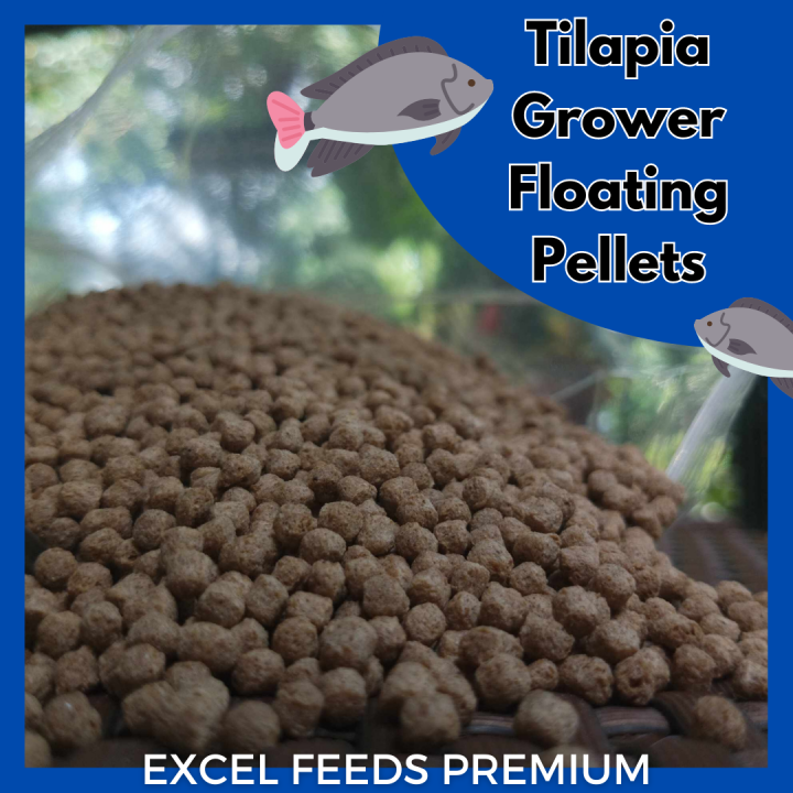 Tilapia Grower Floating Pellets ( Excel premium ) 1kg and 1.5kg | Lazada PH