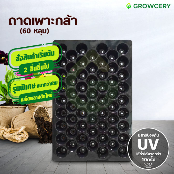[G] ถาดเพาะกล้า ถาดหลุม ถาดเพาะ จำนวน 60 หลุม (หนา 0.7 มม.)(แบบใหม่) **สั่งขั้นต่ำ 2 ชิ้น ...