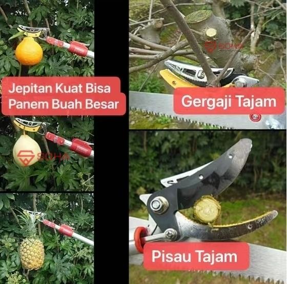 PCK-09 Alat Tongkat Pemetik Buah Panjang Telescopik Pemangkasan Ranting Pohon Tree fruit ...