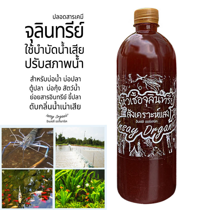 จุลินทรีย์INSAY ORGANIC ใช้บำบัดน้ำ ปรับสภาพน้ำ | Lazada.co.th