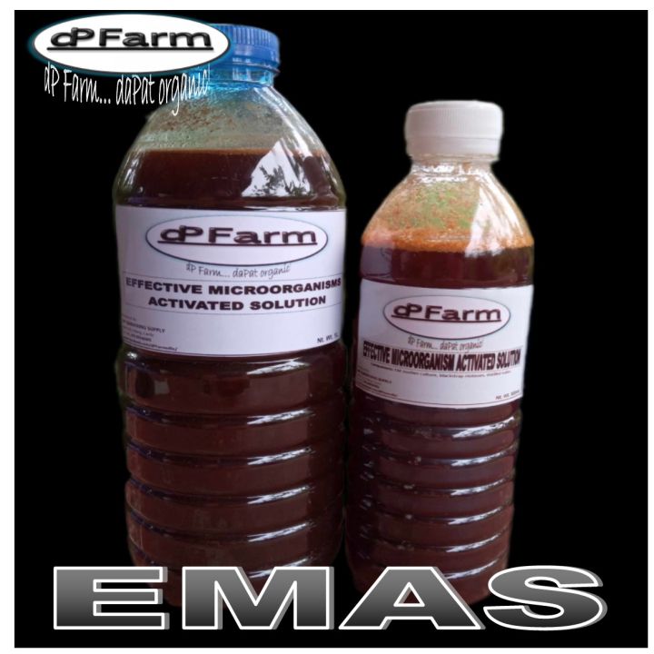 EMAS Activated Effective Micro-Organism Solution / Probiotics / Organic ...