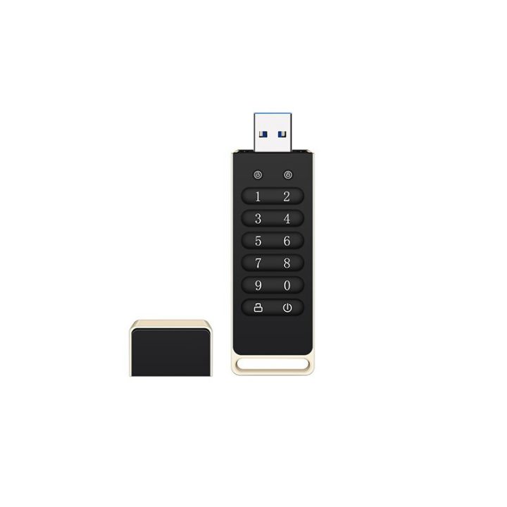 (SQGJ) Secure USB Drive, Encrypted USB Flash Drive Hardware Password ...