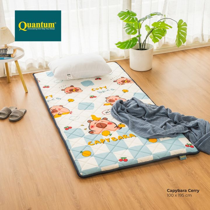 KASUR GULUNG MATRAS LANTAI QUANTUM KARAKTER [KASUR] | Lazada Indonesia
