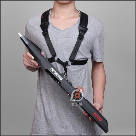 New electronic wind instruments, entertainment, electric wind pipes ...