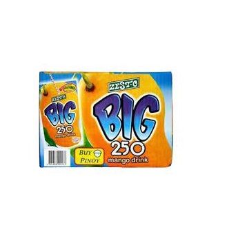 Big 250 Juice Mango 250mL 10's | Lazada PH