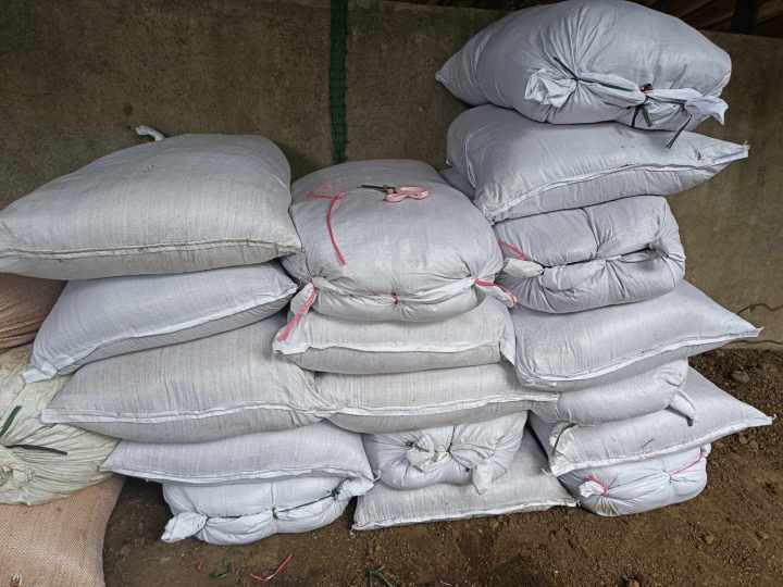 bmeg sacks Cocopeat unscreend for plants 20-25 kgs | Lazada PH